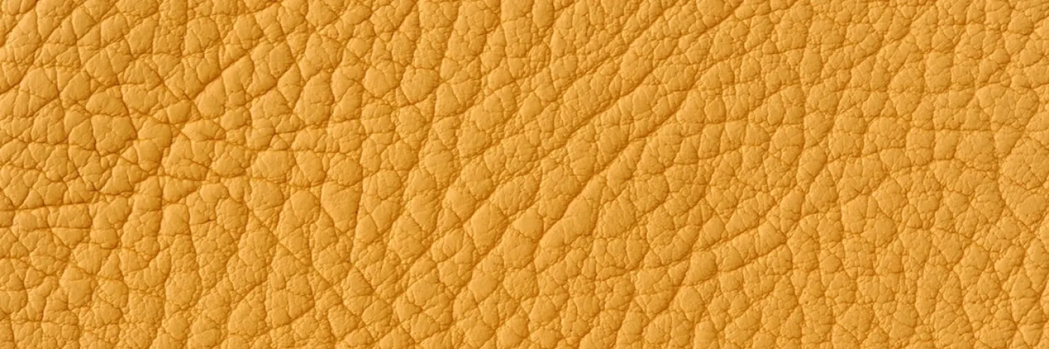 Ecopelle: cos’è, storia, tipologie e utilizzi